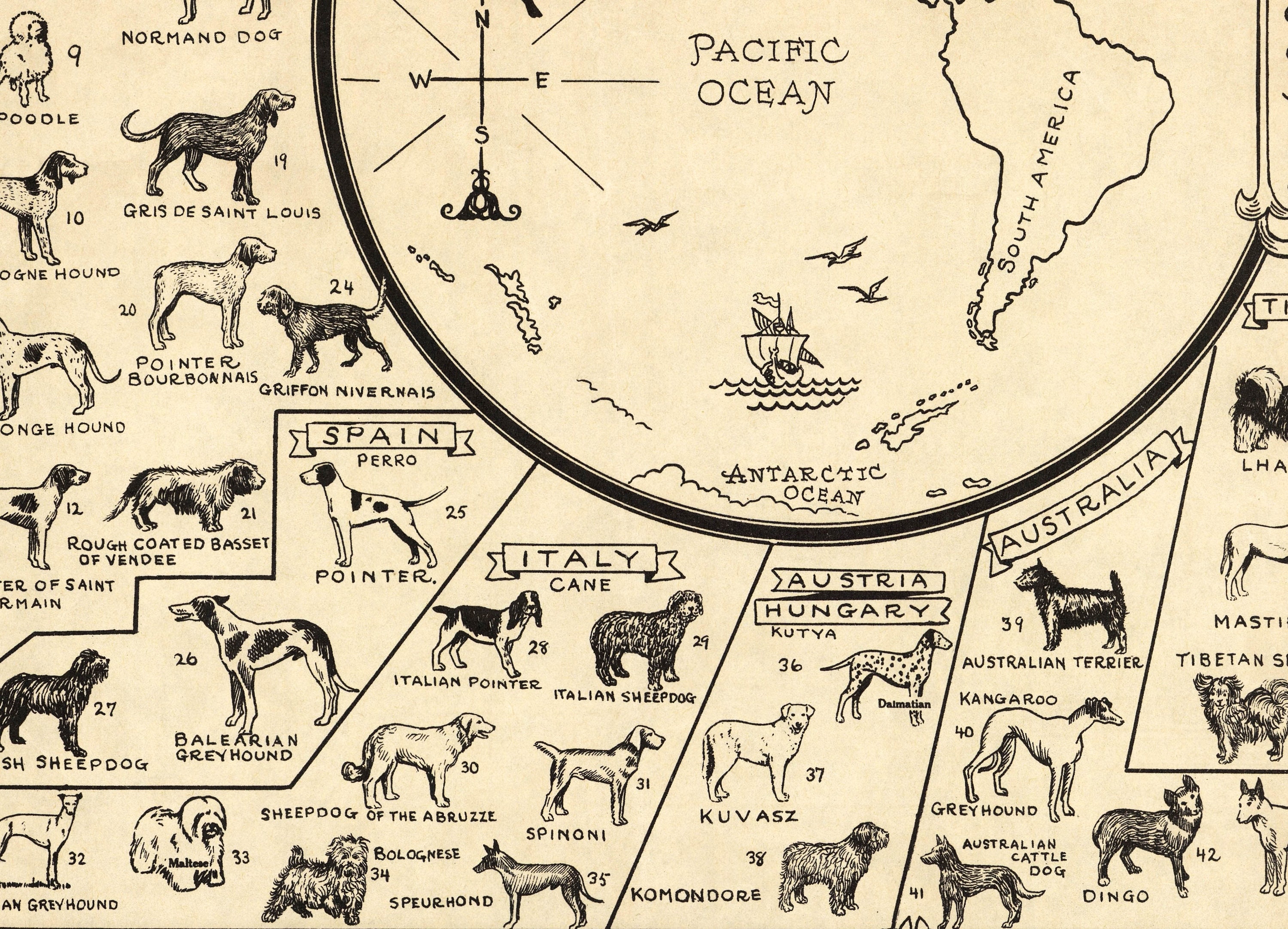 1936 Dogs of World Map Dogs of All Nations Dogs Poster - Etsy Australia