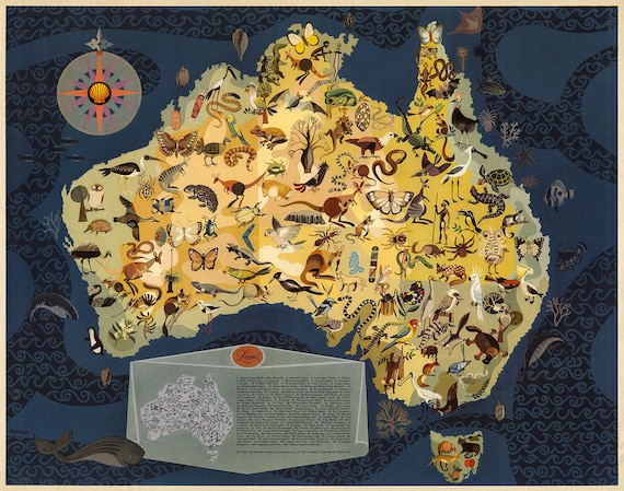 Vegetation Wall Map Of Australia 1929 Vivid Maps