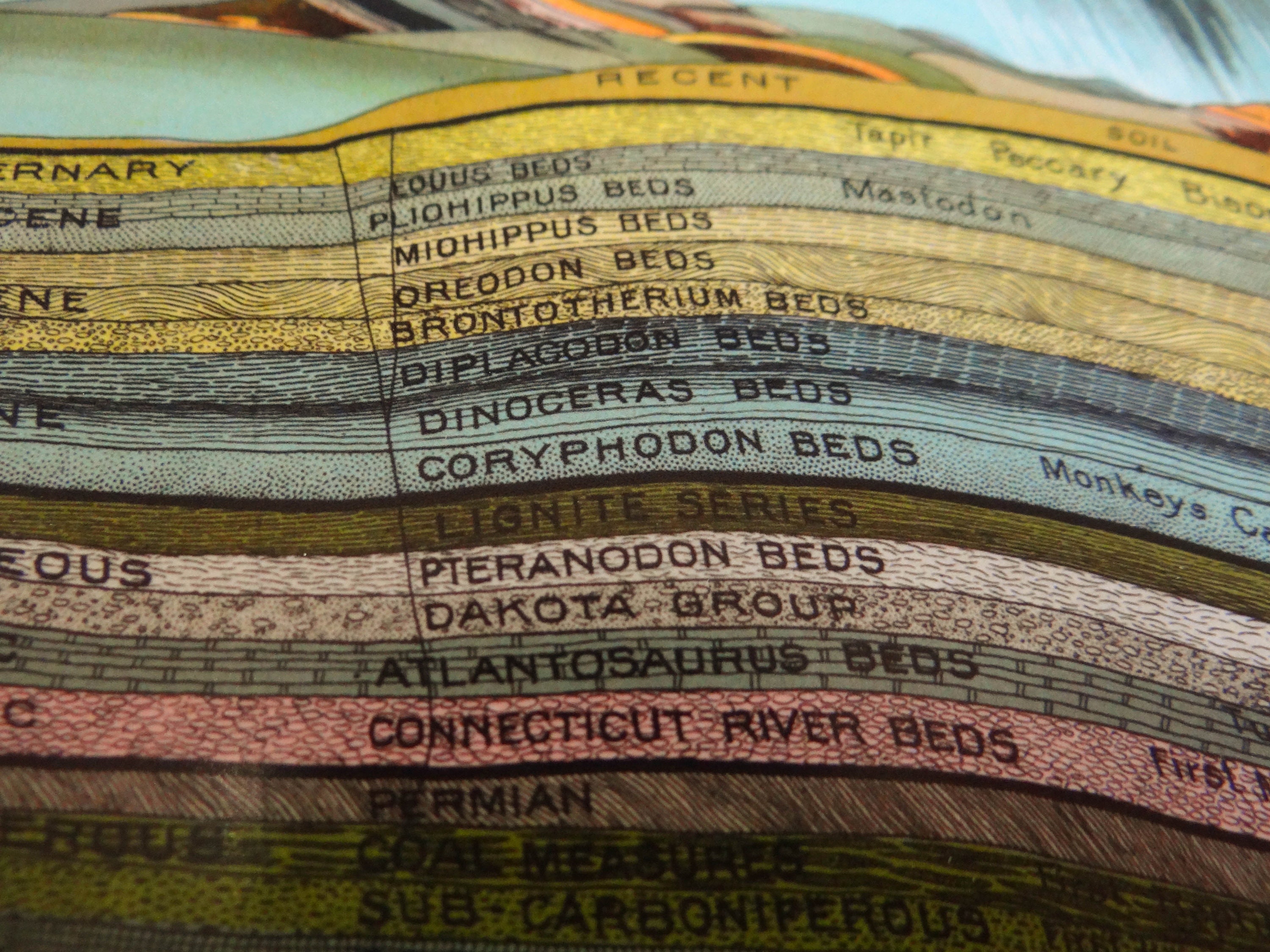 1893 Geological Chart Poster Print Yaggy's Vintage - Etsy