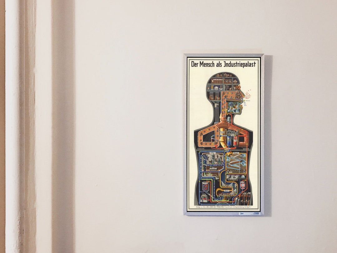 Fritz Kahn Human Body Map Poster: Vintage German Medical Art Print - Etsy