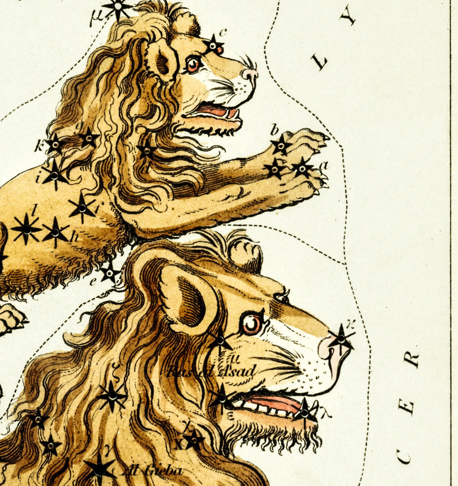 Leo Poster Print Vintage Zodiac Sign Art Horoscope Poster Astrology ...