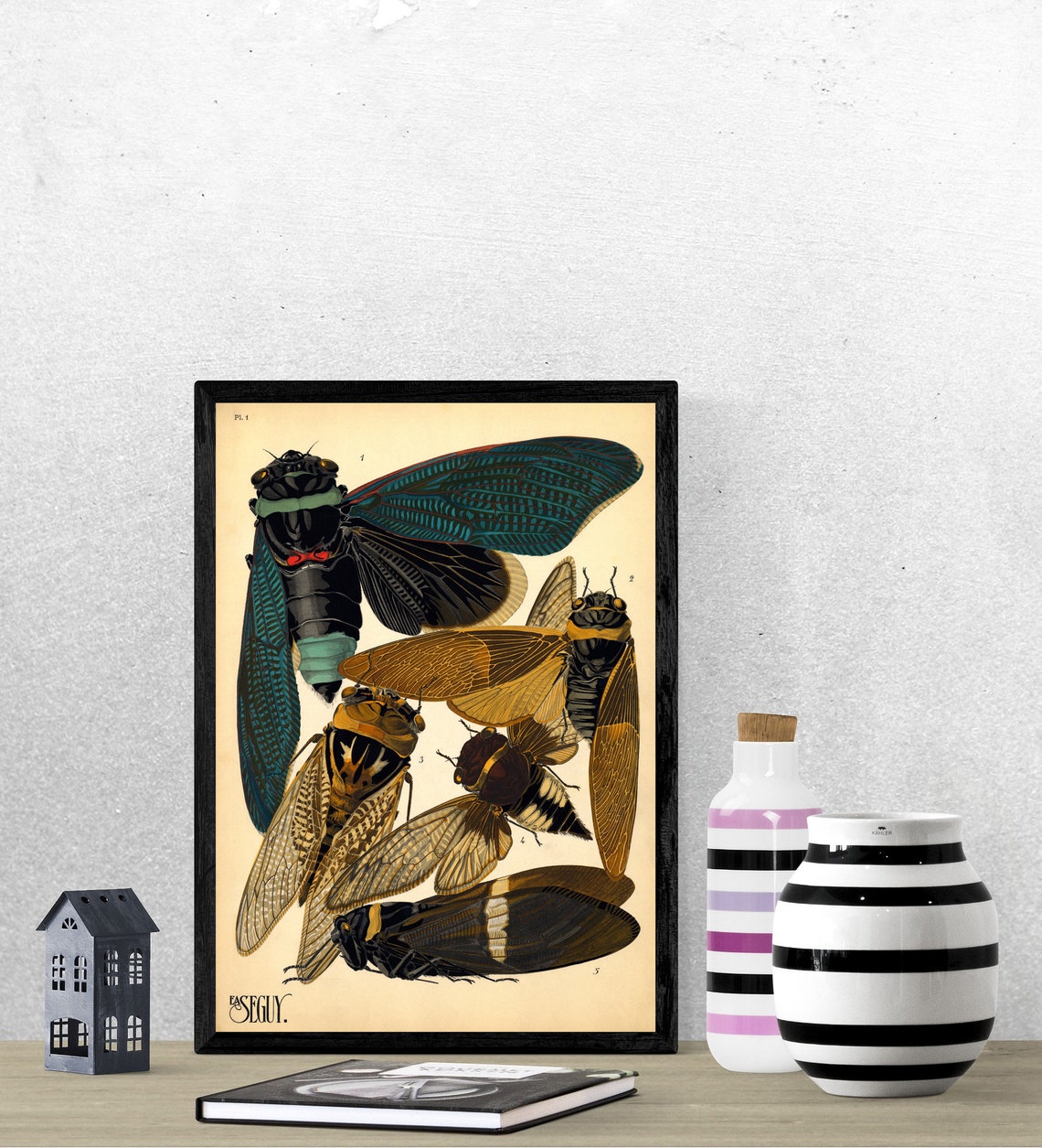 1924 Eugène Séguy Print Vintage Insects Illustration Art | Etsy
