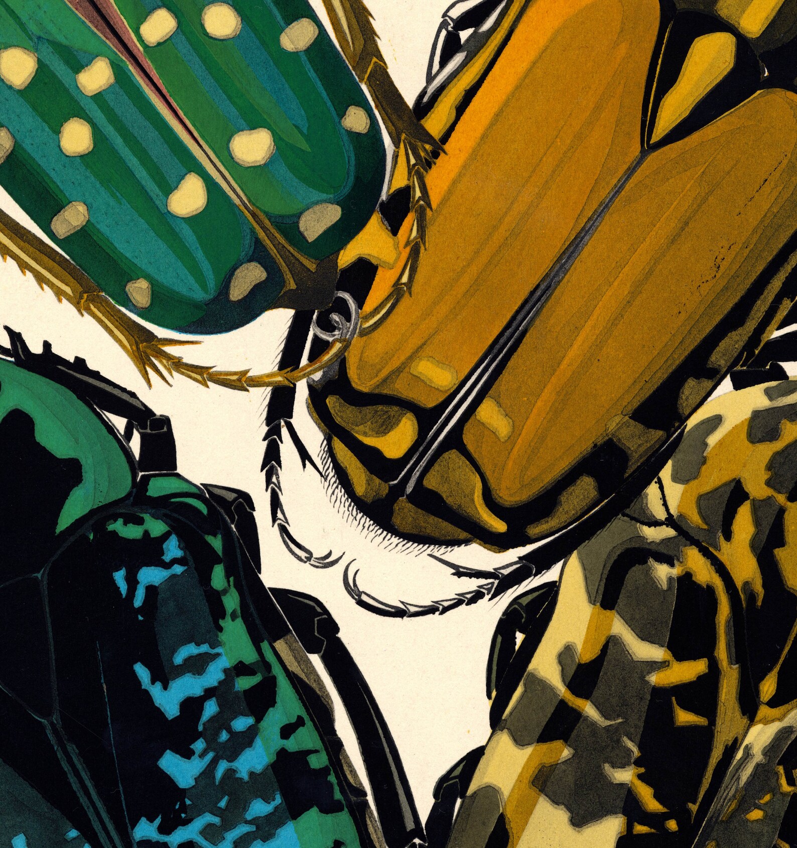 1924 Eugène Séguy Print Vintage Insects Illustration Art - Etsy