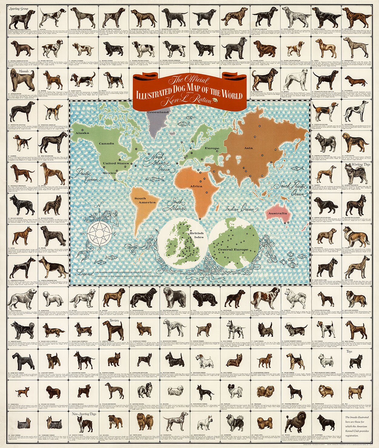 1967 Dog Map of the World Vintage Dogs Illustrations Dogs Poster Print ...