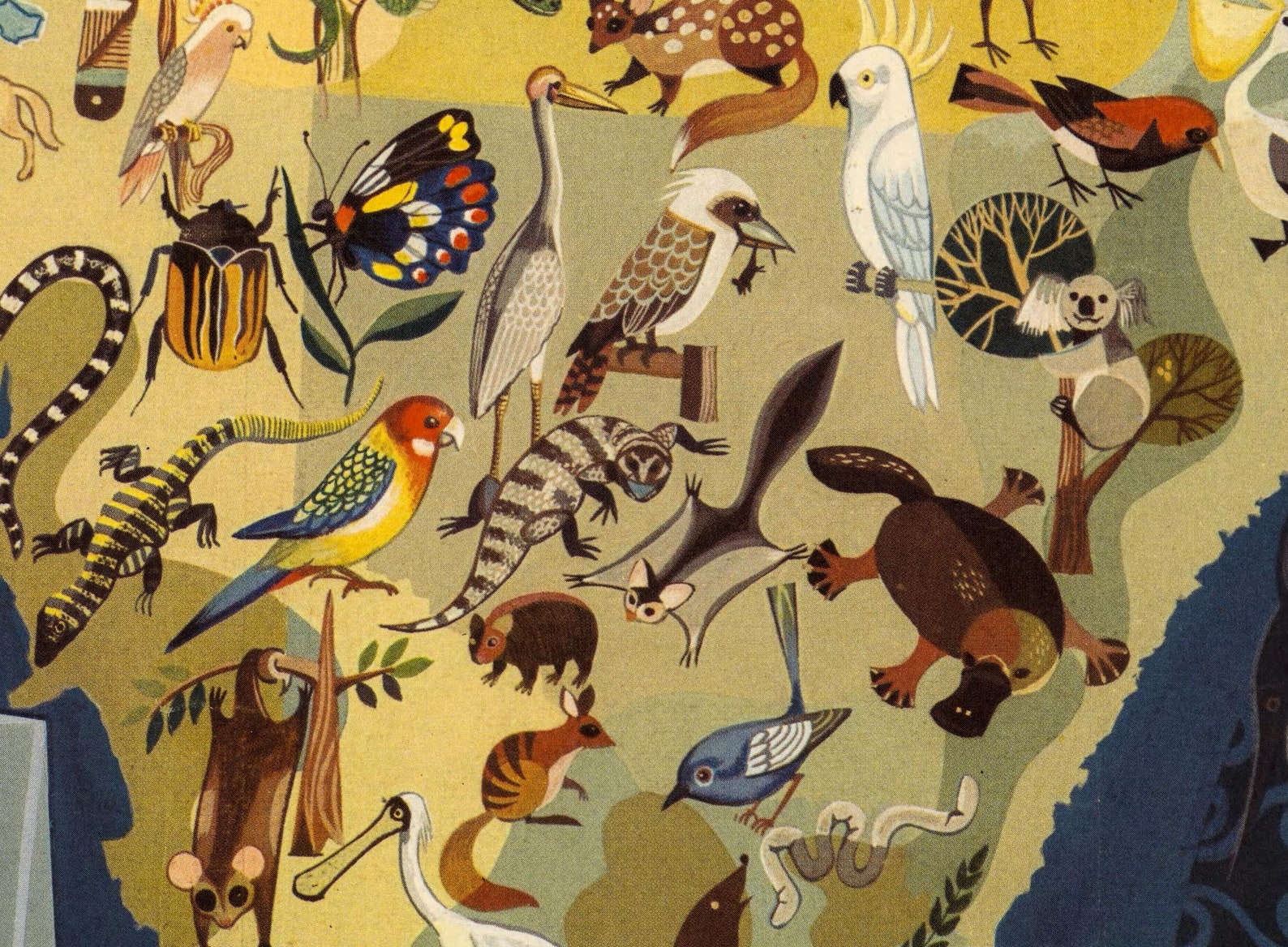1940 Australia Wildlife Map Decorative Animals Print Zoological Poster ...