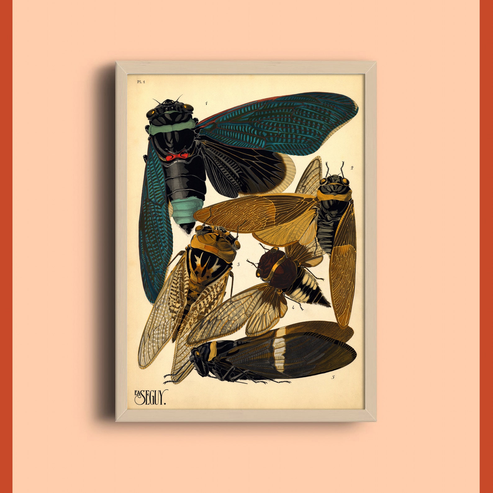 1924 Eugène Séguy Print Vintage Insects Illustration Art - Etsy