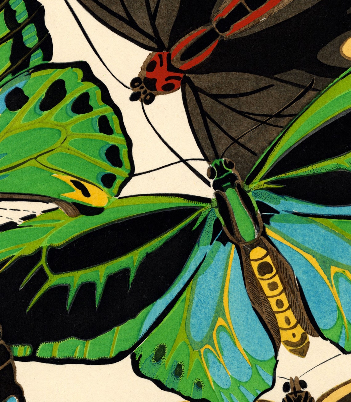 1924 Eug ne S guy Print Vintage Butterfly Illustration Etsy UK 1924 Eug ne S guy Print Vintage Butterfly Illustration Etsy UK