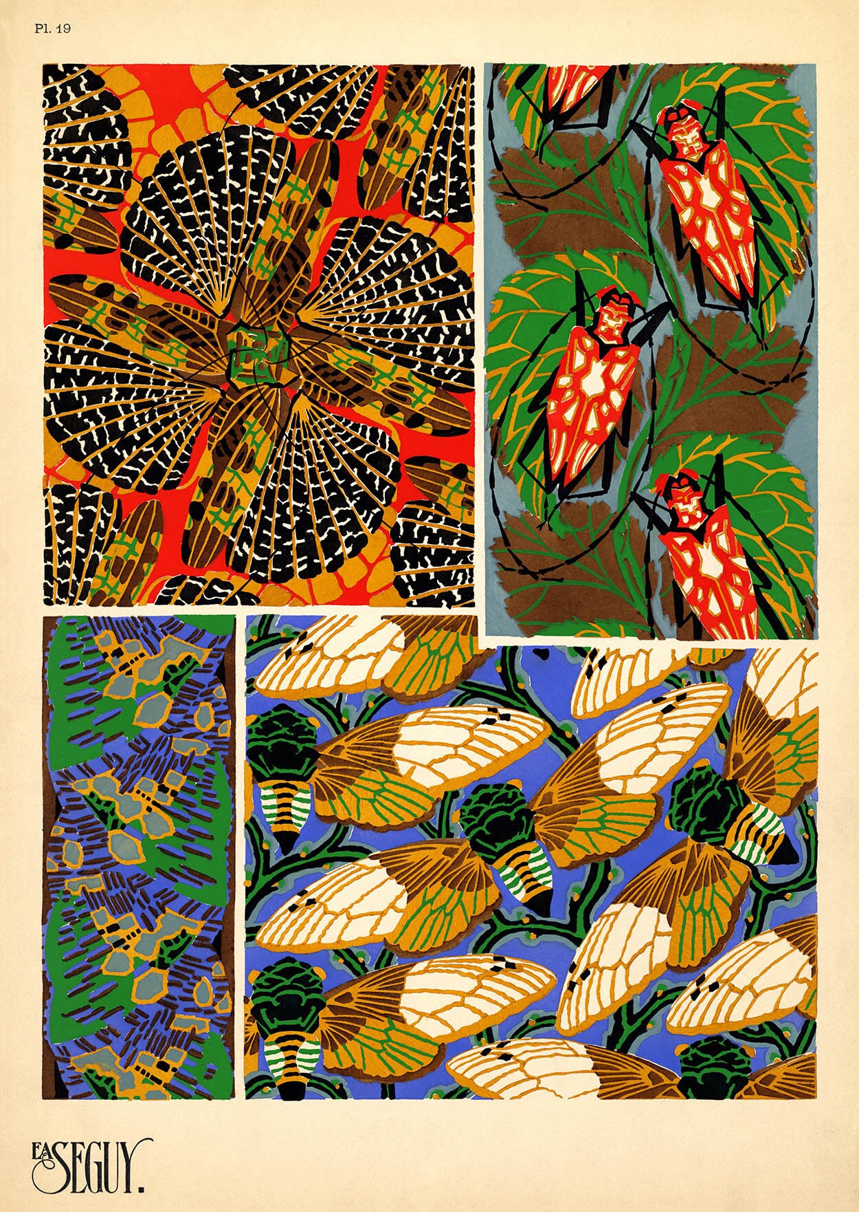 1924 Eugène Séguy Print Vintage Insects Illustration Art Deco Poster ...