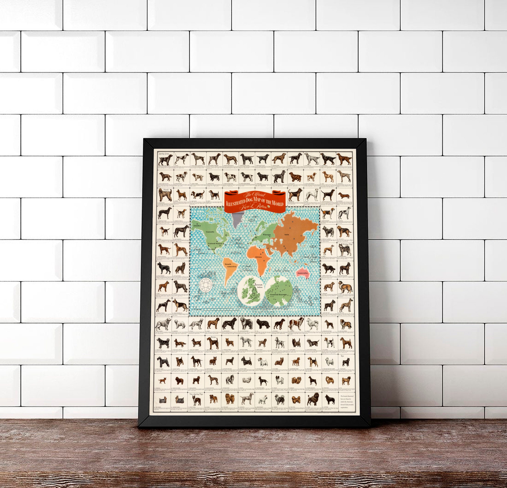 1967 Dog Map of the World Vintage Dogs Illustrations Dogs Poster Print ...