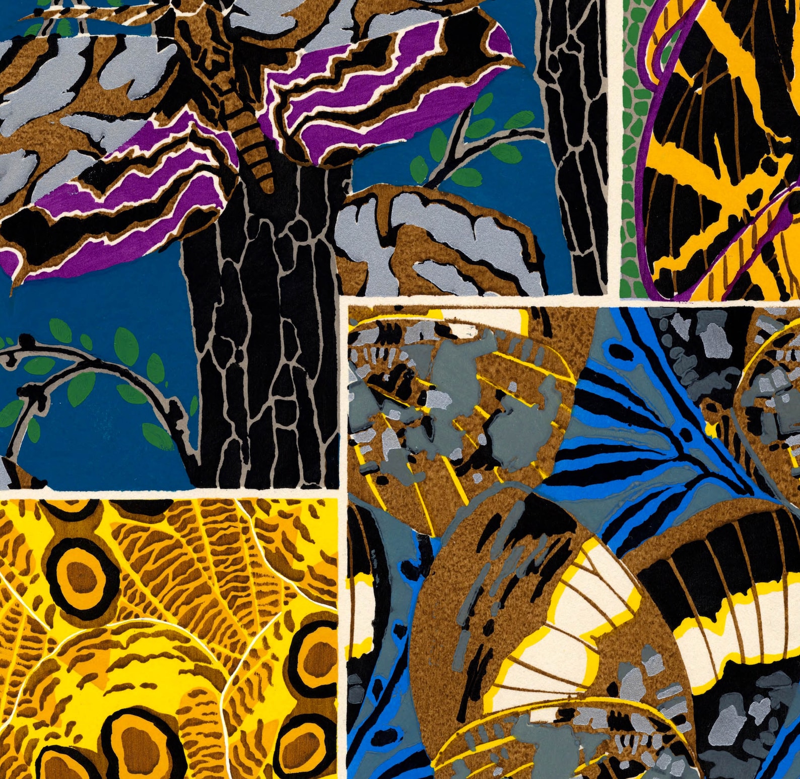 1924 Eugène Séguy Print Vintage Butterfly Illustration - Etsy