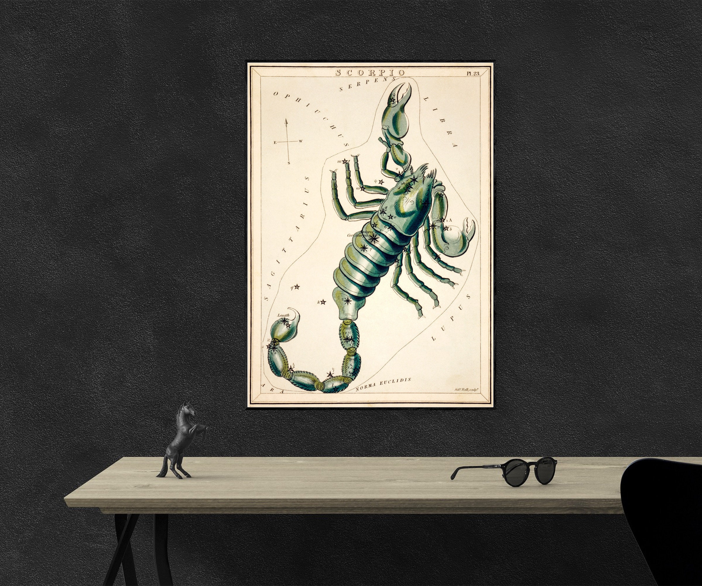 Scorpio Poster Print Vintage Zodiac Sign Art Horoscope Poster Astrology ...