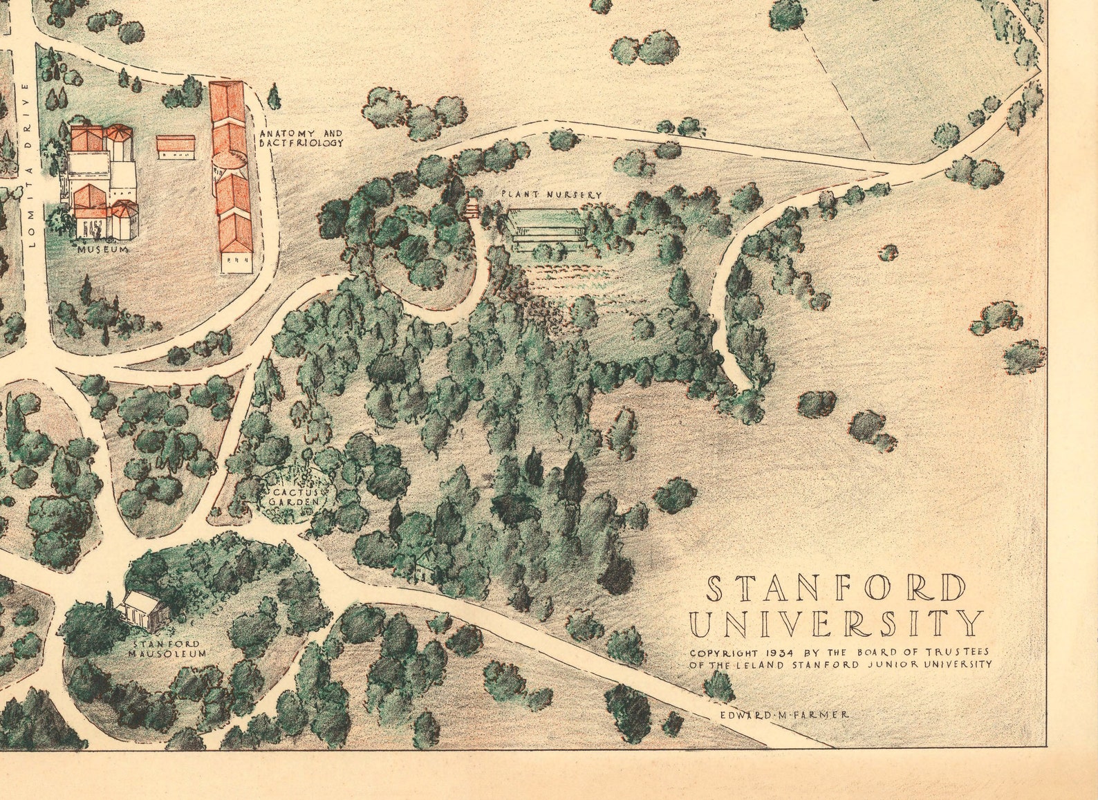 1934 Stanford University Map Print Vintage Bird's-eye - Etsy UK