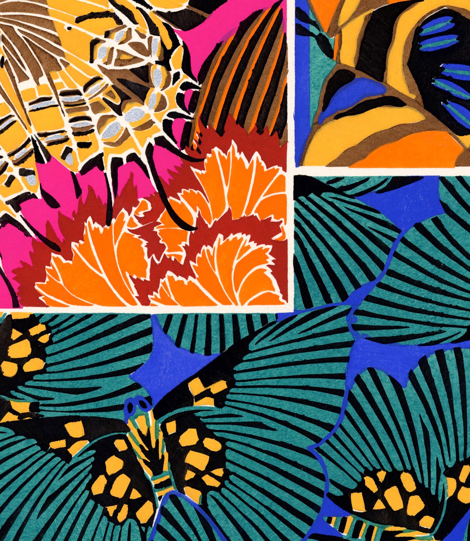 1924 Eugène Séguy Print Vintage Butterfly Illustration - Etsy