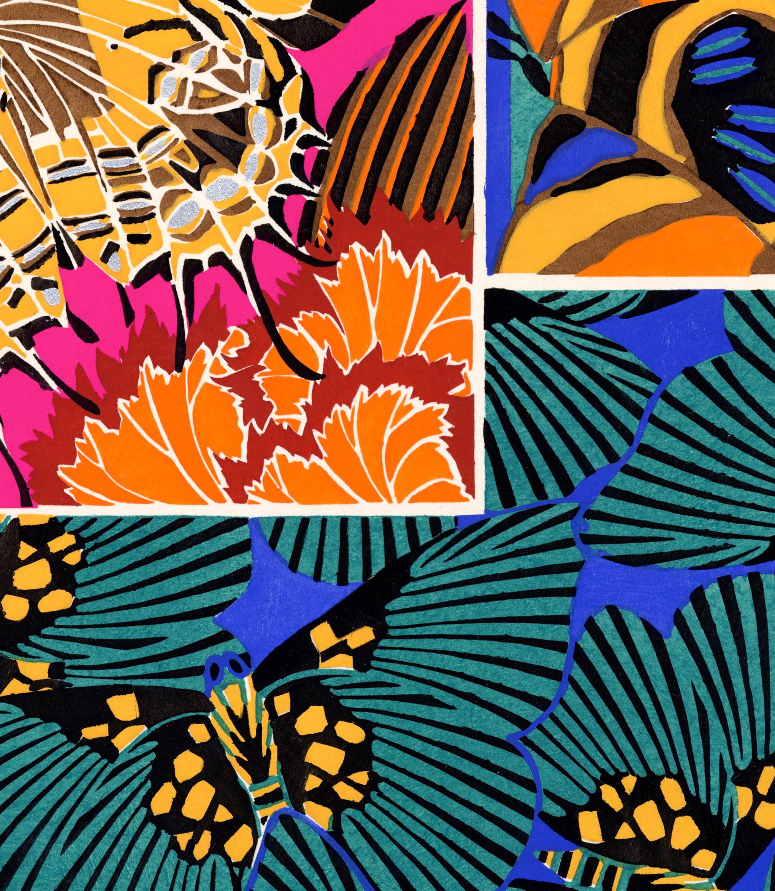 1924 Eugène Séguy Print Vintage Butterfly Illustration - Etsy