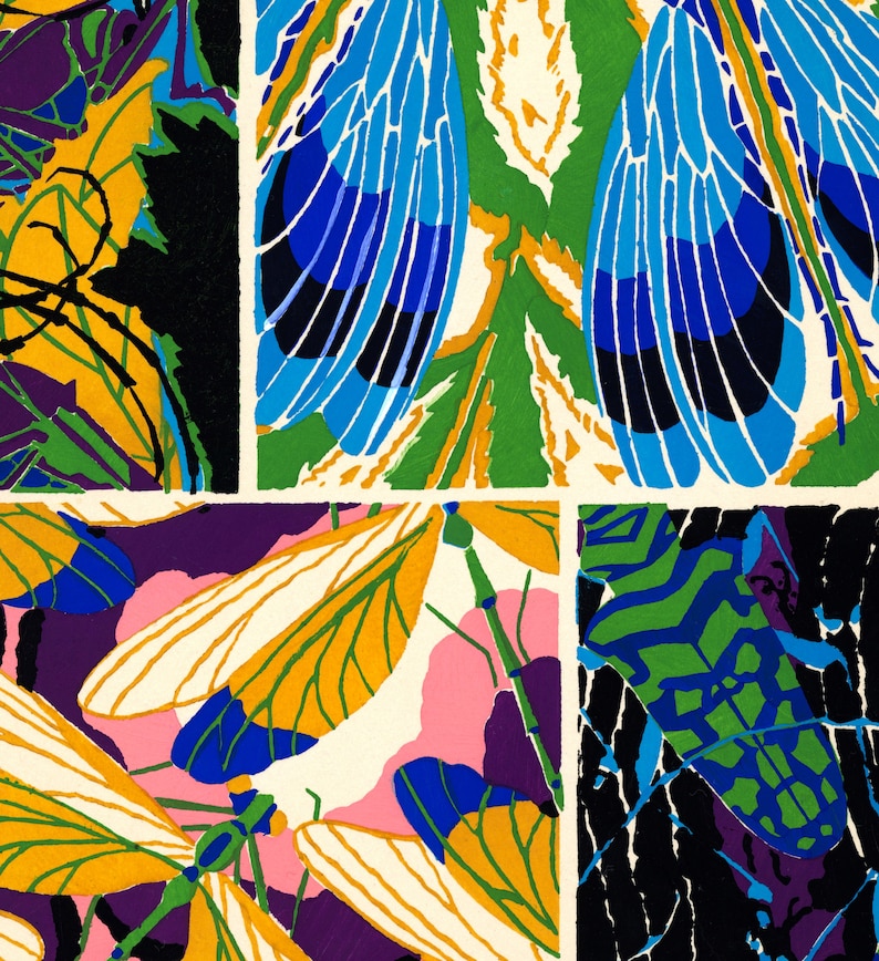 1924 Eugène Séguy Print Vintage Insects Illustration Art - Etsy