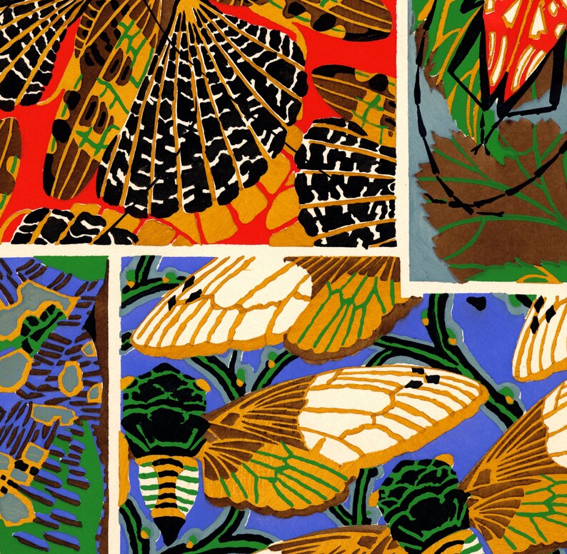 1924 Eugène Séguy Print Vintage Insects Illustration Art Deco Poster ...