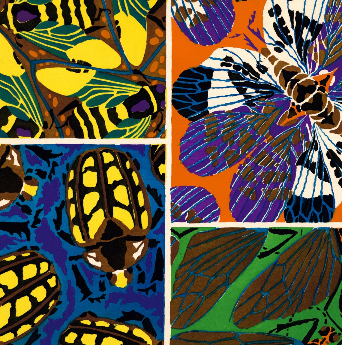 1924 Eugène Séguy Print Vintage Insects Illustration Art - Etsy