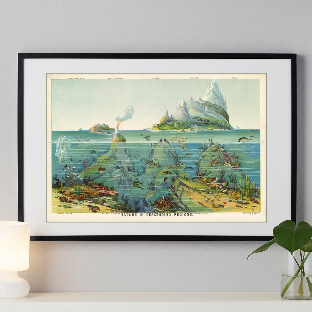 1893 Vintage Nature Poster Nature in Descending Regions Poster Print ...