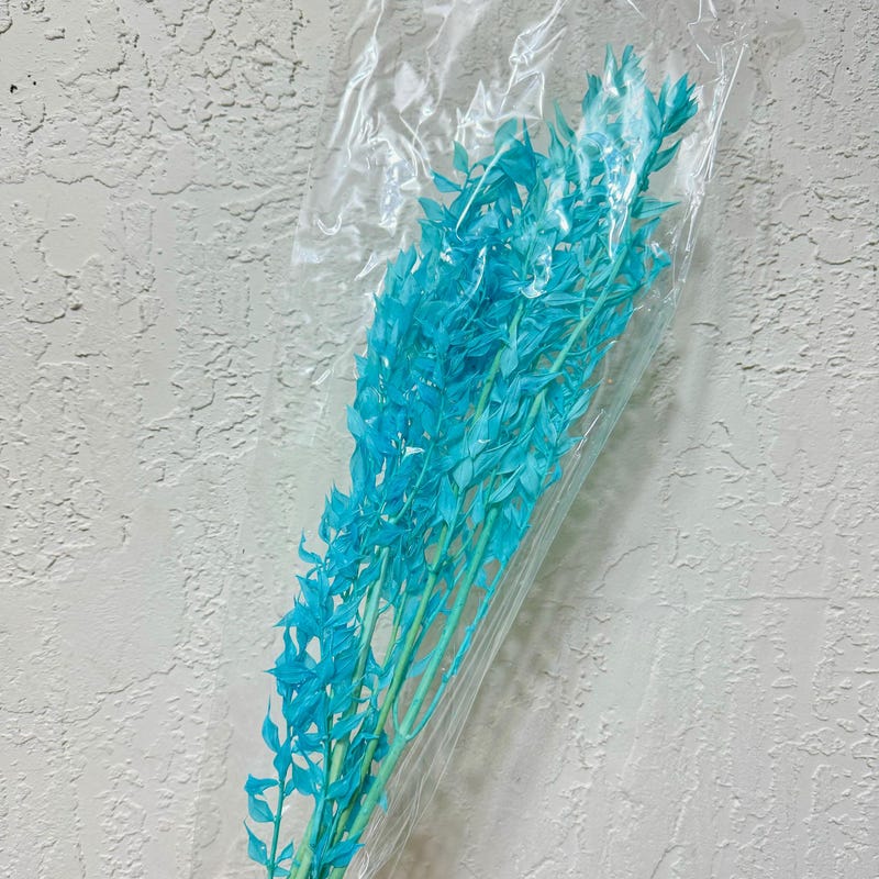 Blue Dried Ruscus - Etsy