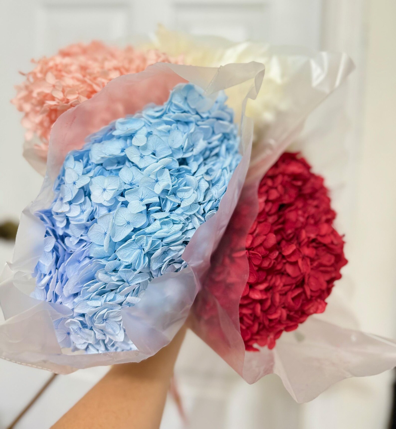 White Dried Hydrangea Large 1 Stem - Dried Preserved Flowers - Bouquet ...