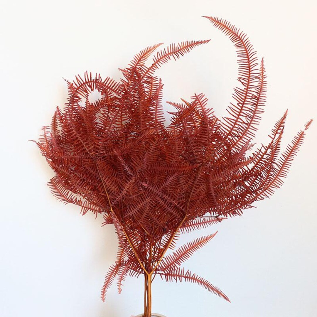 Red Wavy Mountain Fern 20"h - 10 Stems - for Crafts , Floral Arranging ...