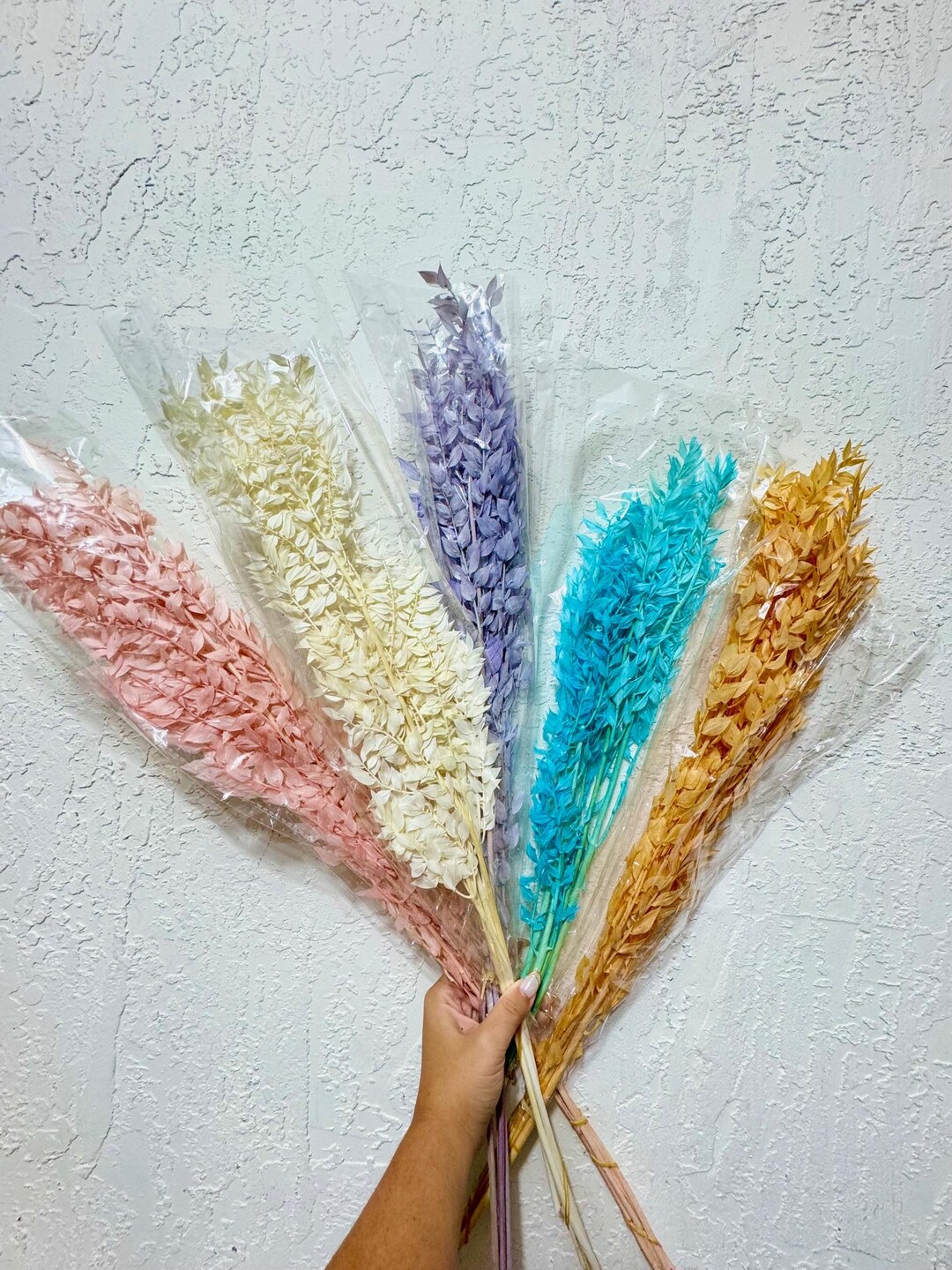 Italian Ruscus Branches 5 Stems - Dried Preserved Flowers - Bouquet ...