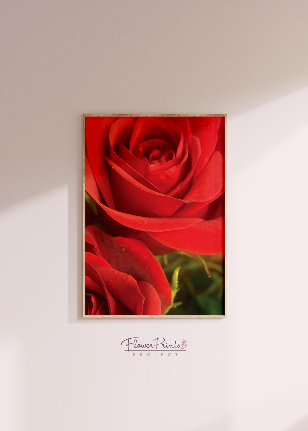 Red Rose Print Red Flower Wall Art Plant Lady Art Print - Etsy