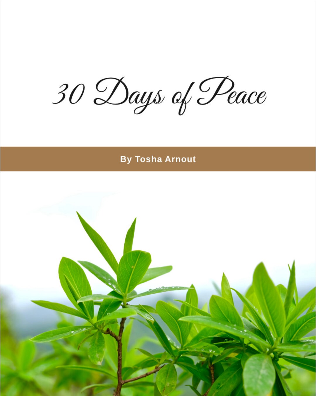 30 Days of Peace, A Meditation Journal With Breathing and Writing ...