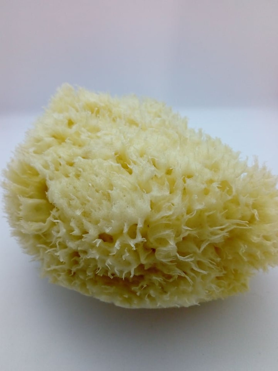 2 Natural Sea Sponges White From Greeceorganic | Etsy