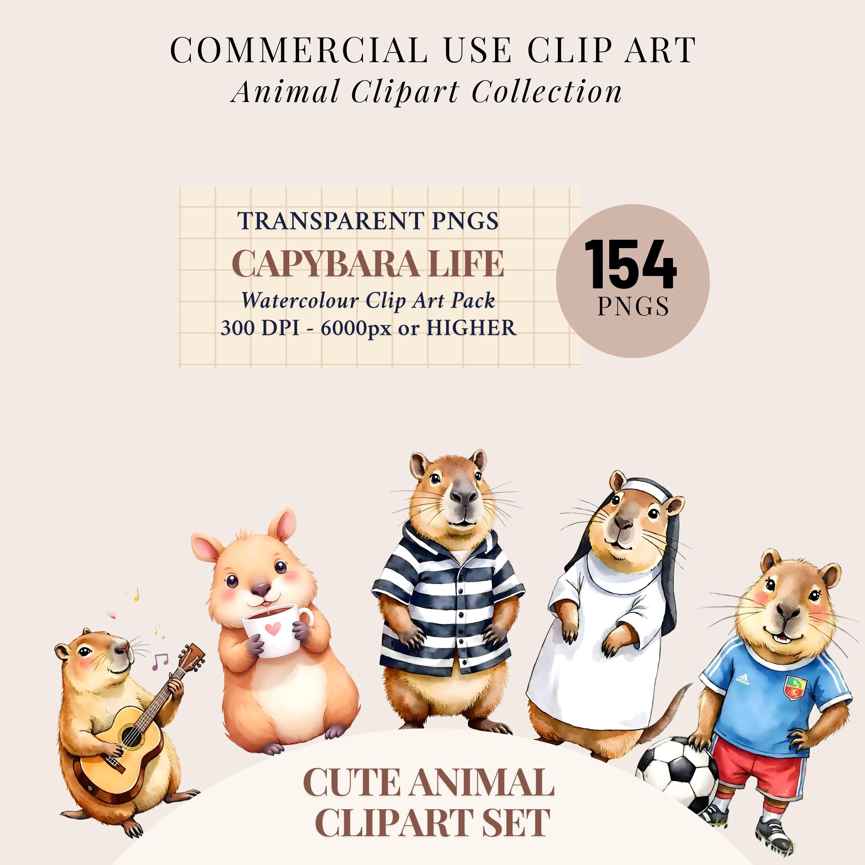 Capybara Clipart PNG Bundle | Cute Capybara Clip Art | Funny Capybara ...