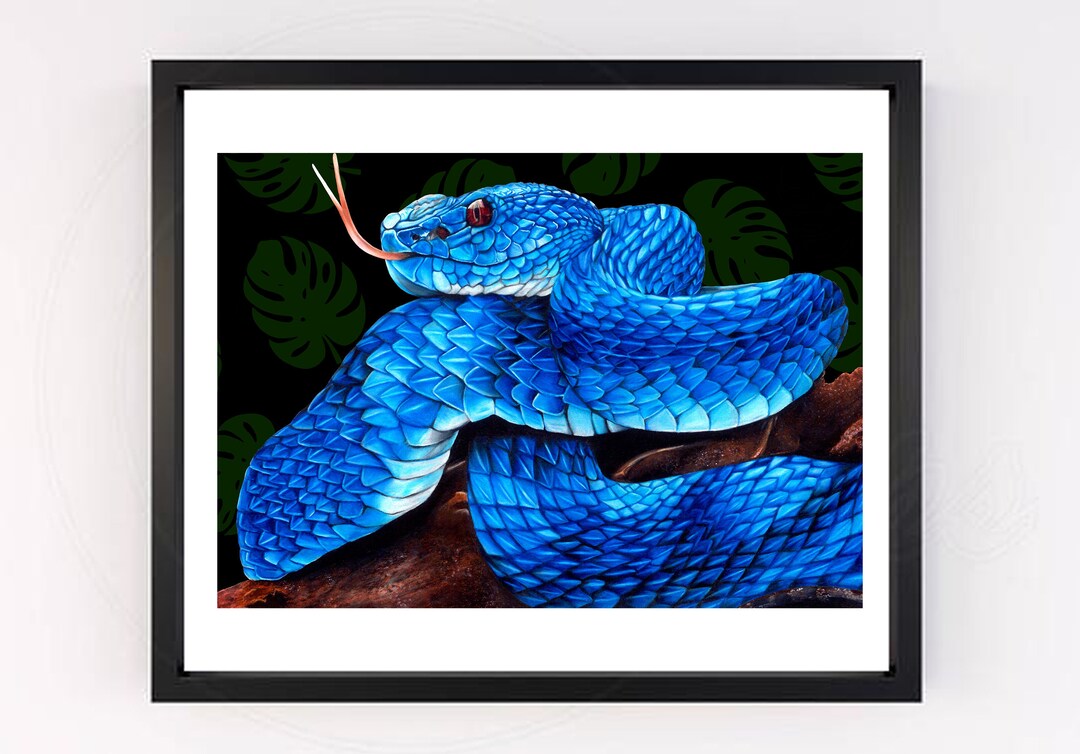 Blue Snake Art Print - Etsy