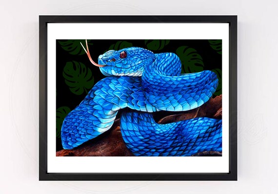 Blue Snake Art Print | Etsy