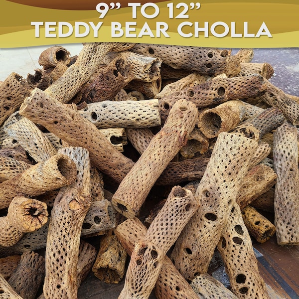 Cholla Wood - Etsy