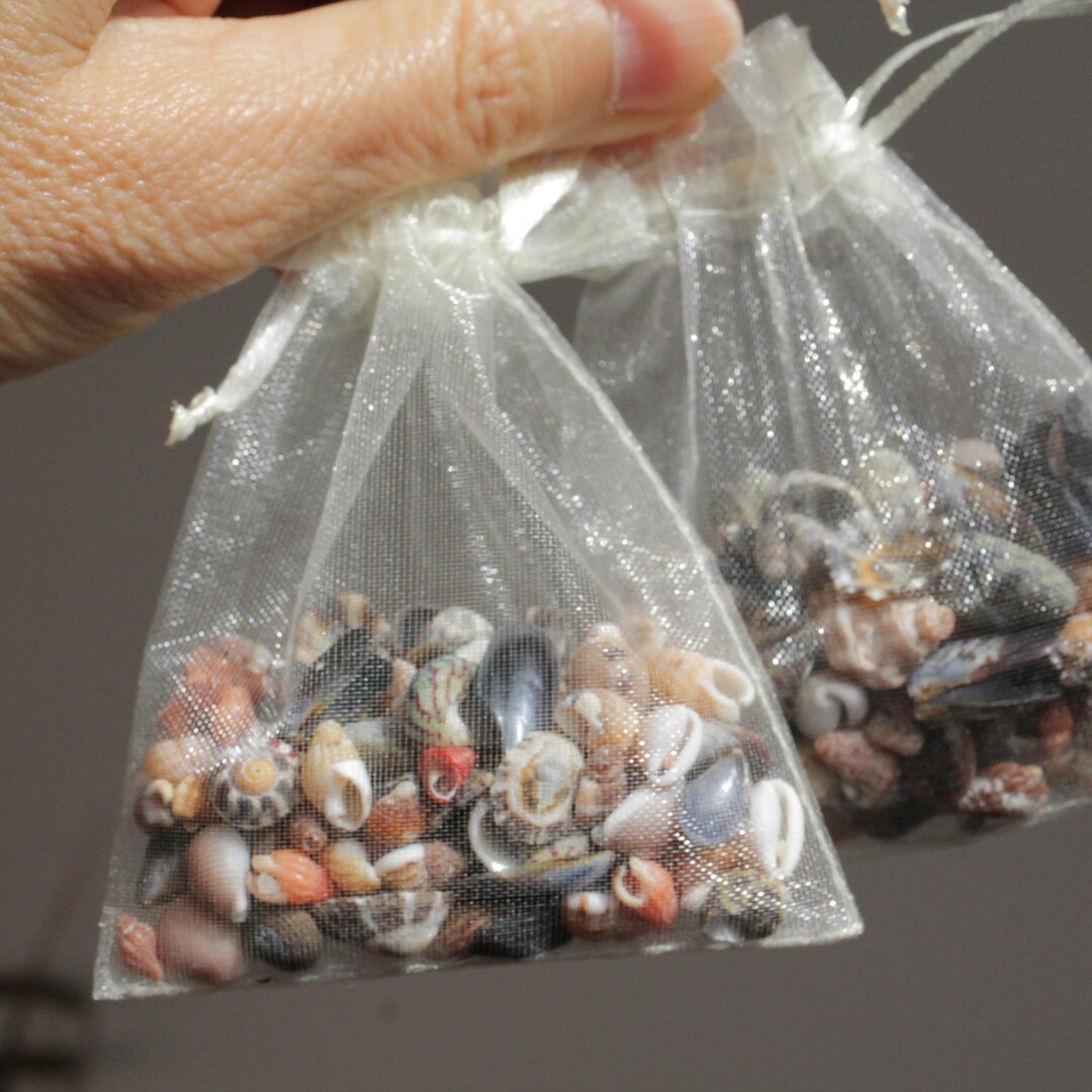 Tiny Seashells Mix for Arts & Crafts,wedding Beach Decor, Sea Shells ...