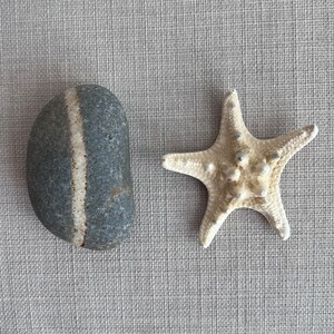 Wishing Stone With Single Quartz Line, Quartzite Veined Rock, Zen Rock ...