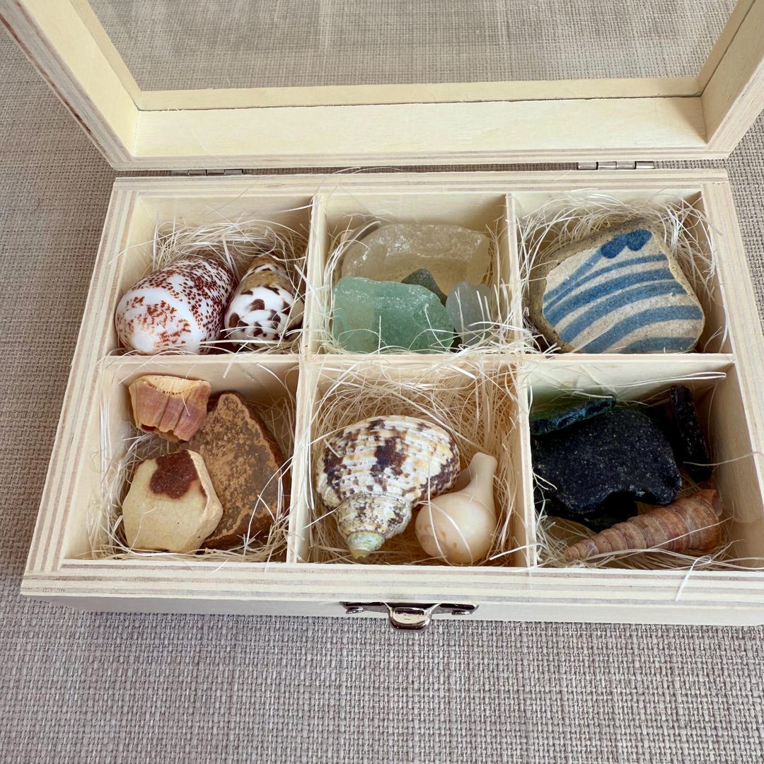 Sea Treasure Chest Ocean Lover Gift,beachcombing Box,terrarium and Fish ...