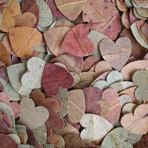 Bulk Confetti - Etsy