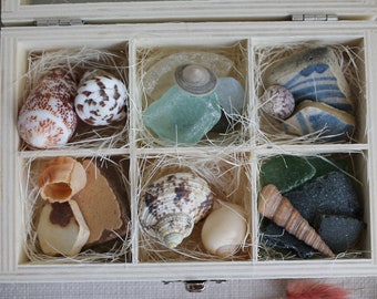 Shell Treasure Chest | Etsy