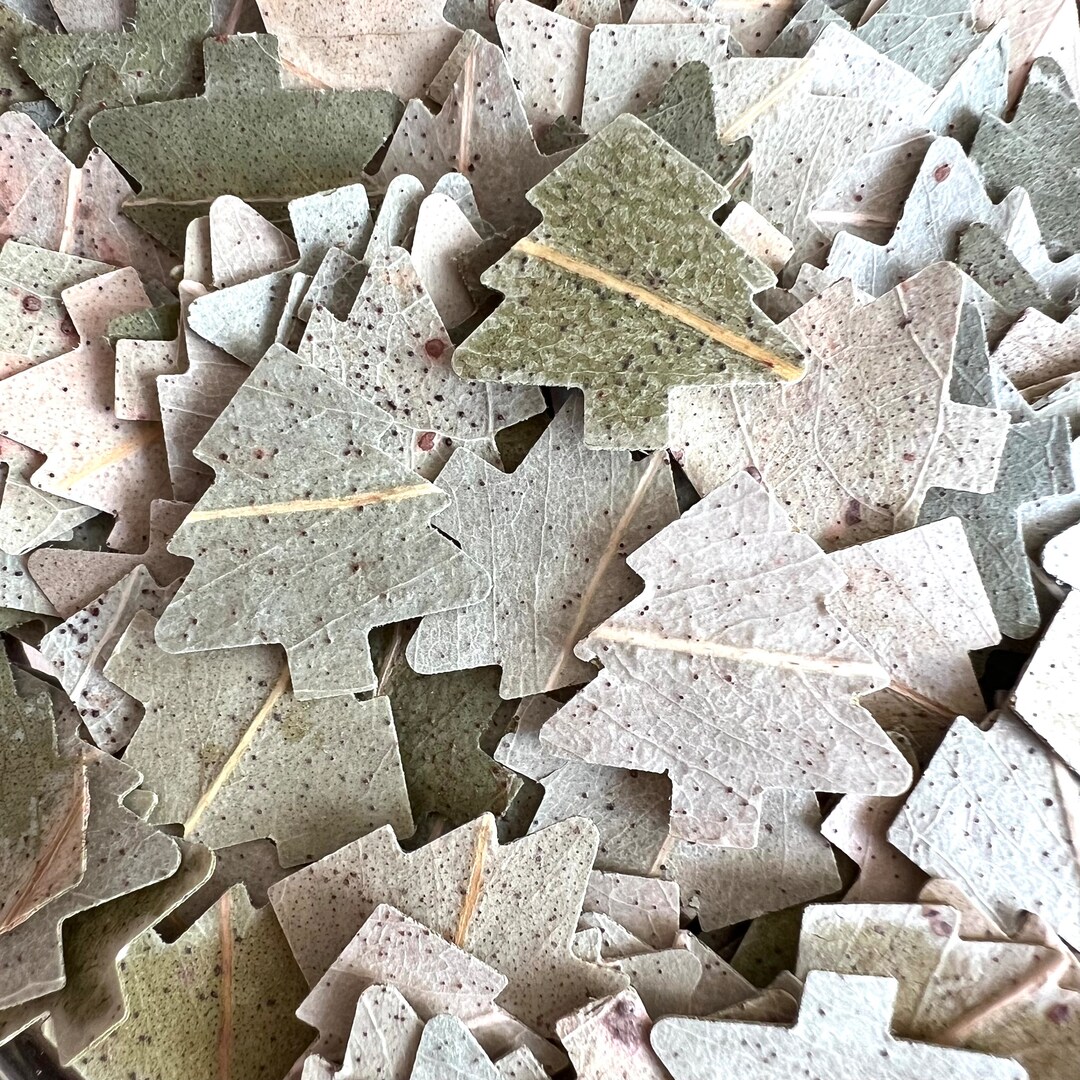 Eucalyptus Tree Confetti, Biodegradable Wedding Table Decor (50 Trees ...