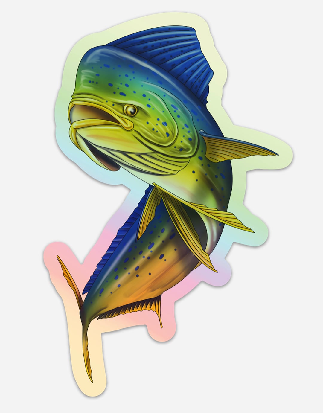 Bull Mahi-mahi Fish Holographic Sticker - Etsy