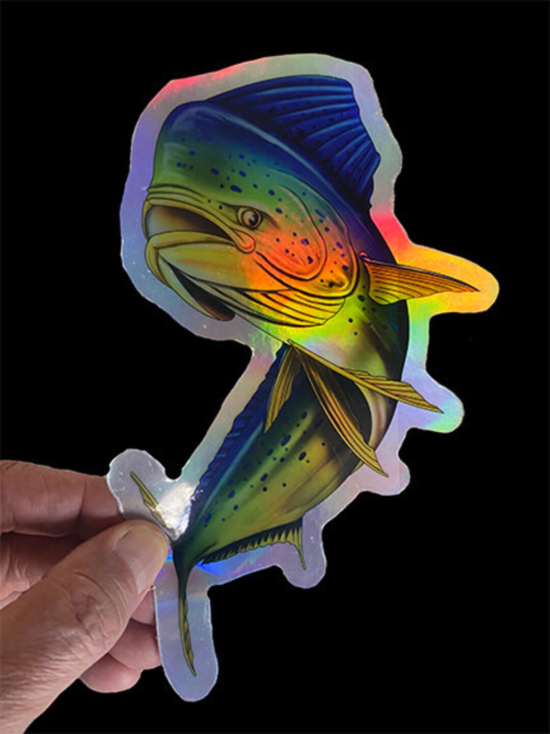 Bull Mahi-mahi Fish - Holographic Sticker - Etsy