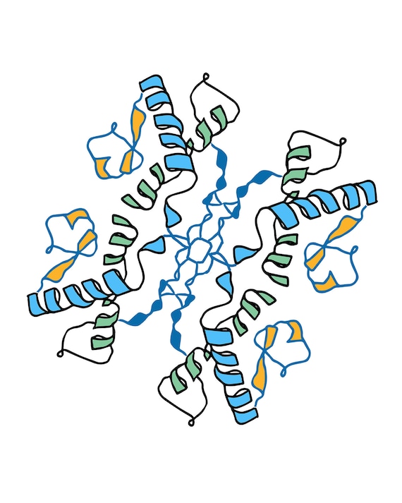 Molecular Biology Art