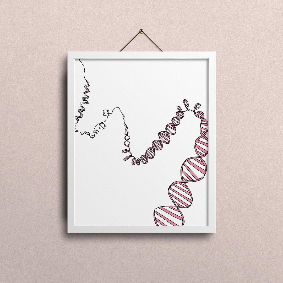 DNA Art Biology Drawing Digital Download. Add This Beautiful - Etsy