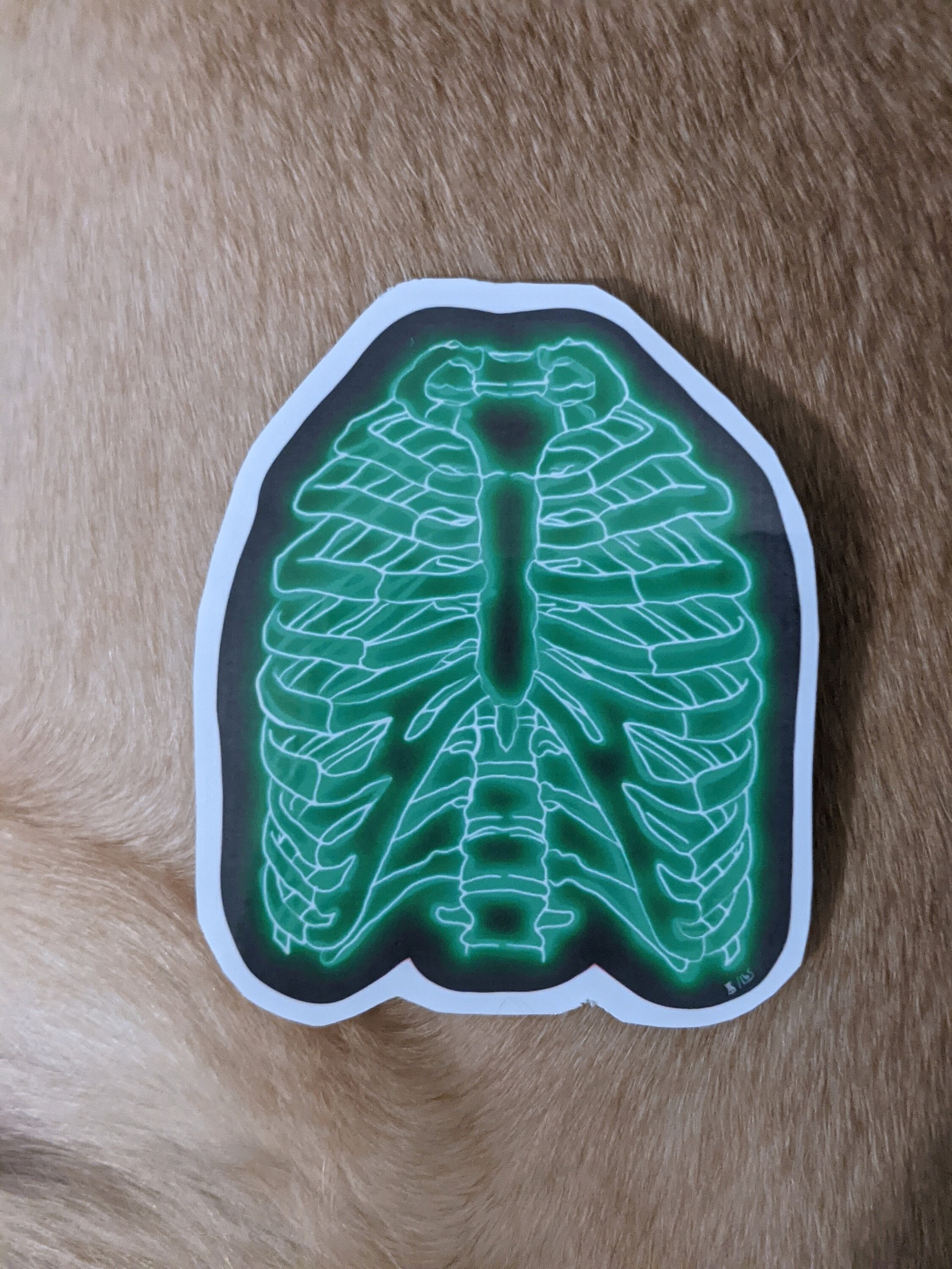 Neon rib sticker skeleton sticker neon skeleton sticker | Etsy