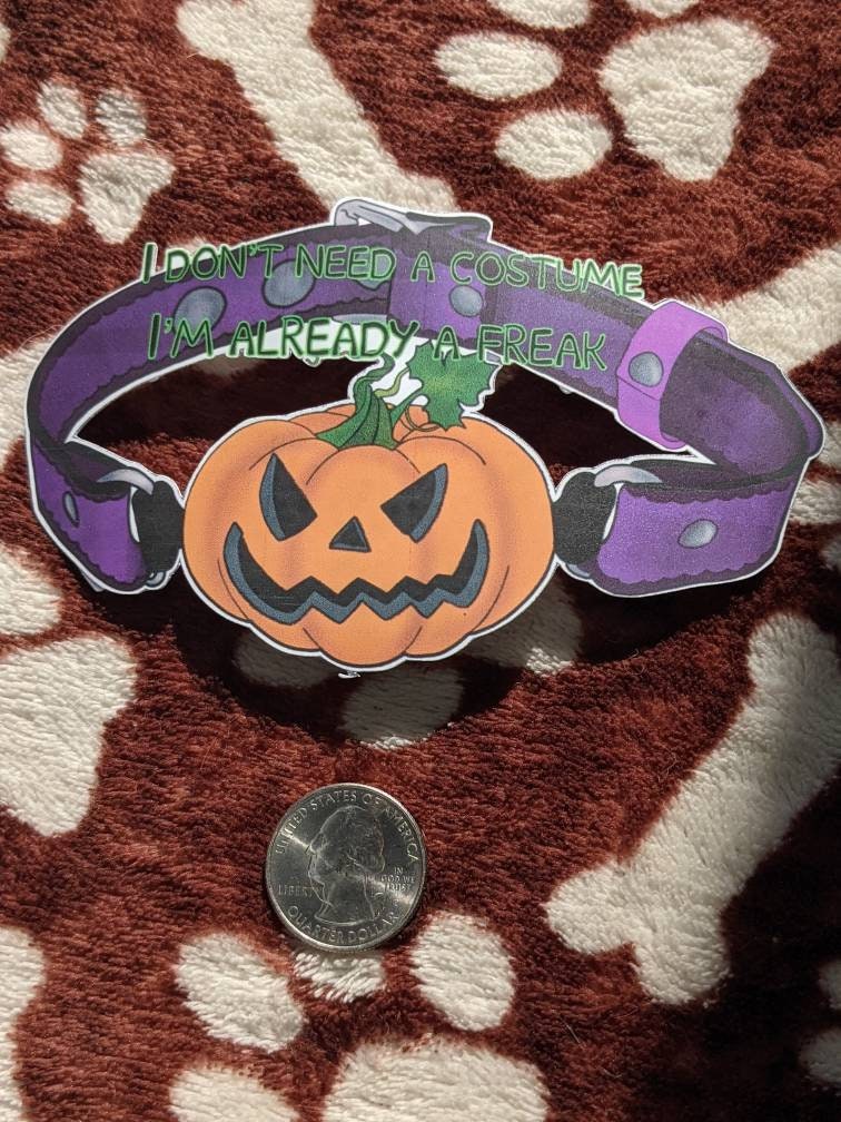 I'm a Freak Sticker Ashnikko Decal Ashnikko Pumpkin - Etsy