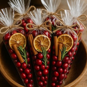 Christmas Simmer Potpourri Cone Bags – Holiday Stovetop Scents ...