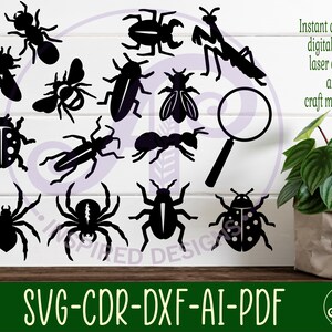 Paquete SVG de insectos. 14 diseños, archivos vectoriales, archivos de ...