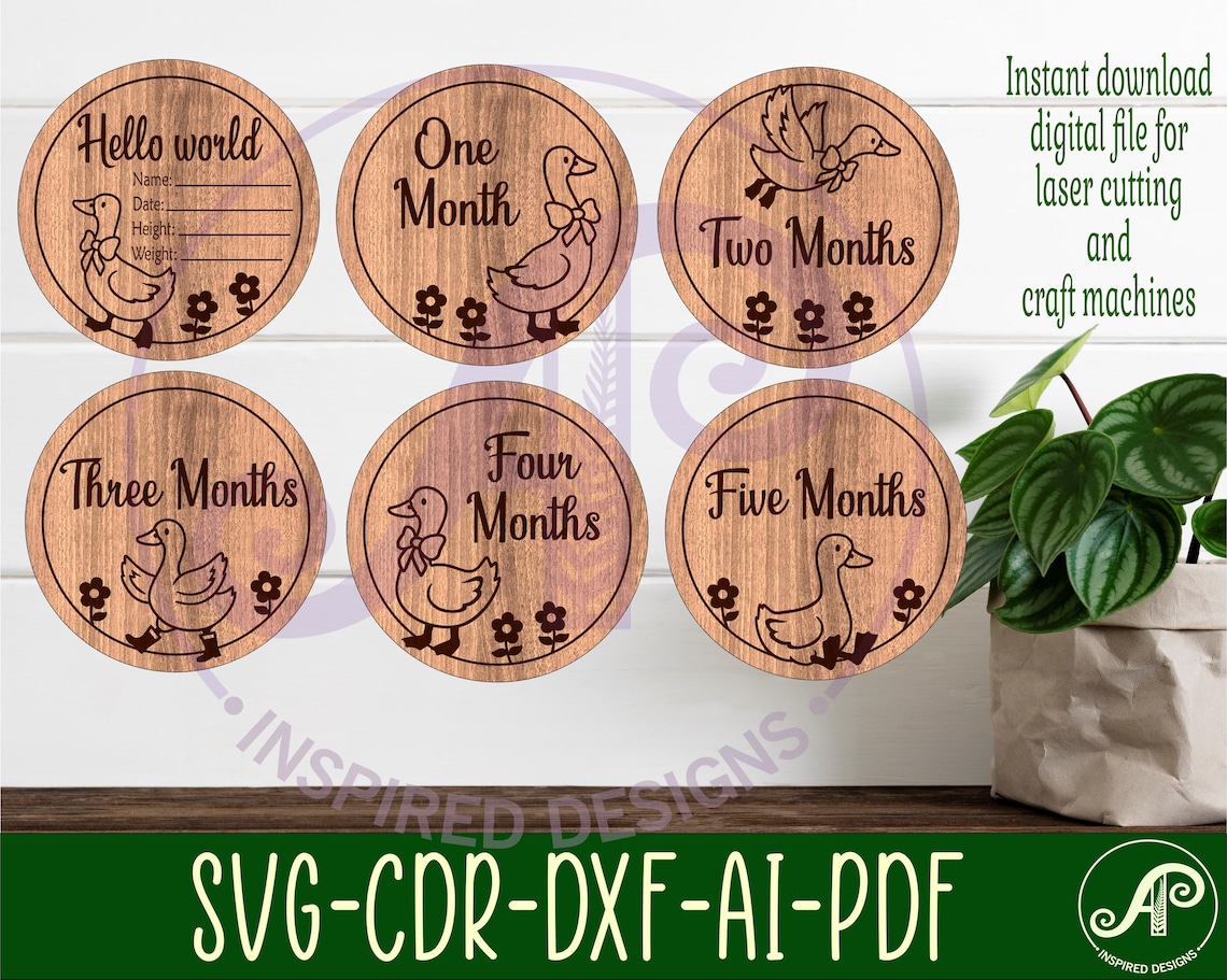 Goose Milestone Discs SVG Bundle: Laser Cut Files (digital Download - Etsy