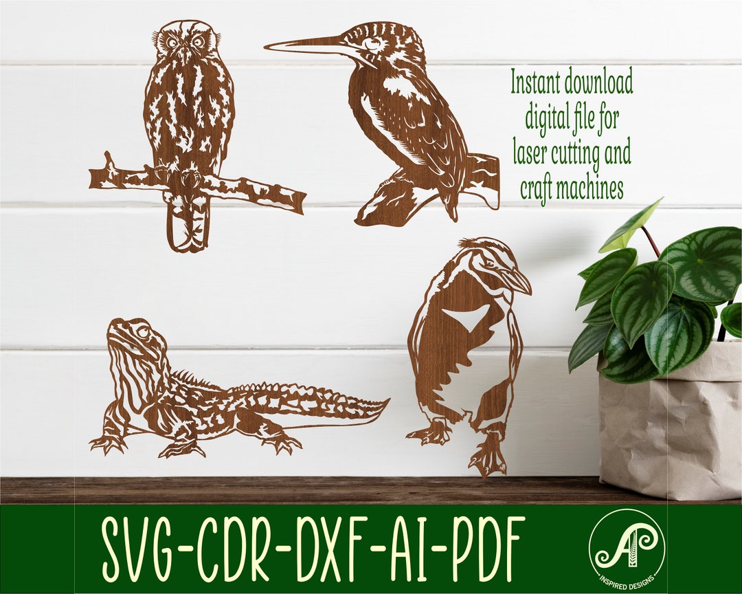 New Zealand Wildlife Design, Laser Cut File, New Zealand Theme. Vector ...