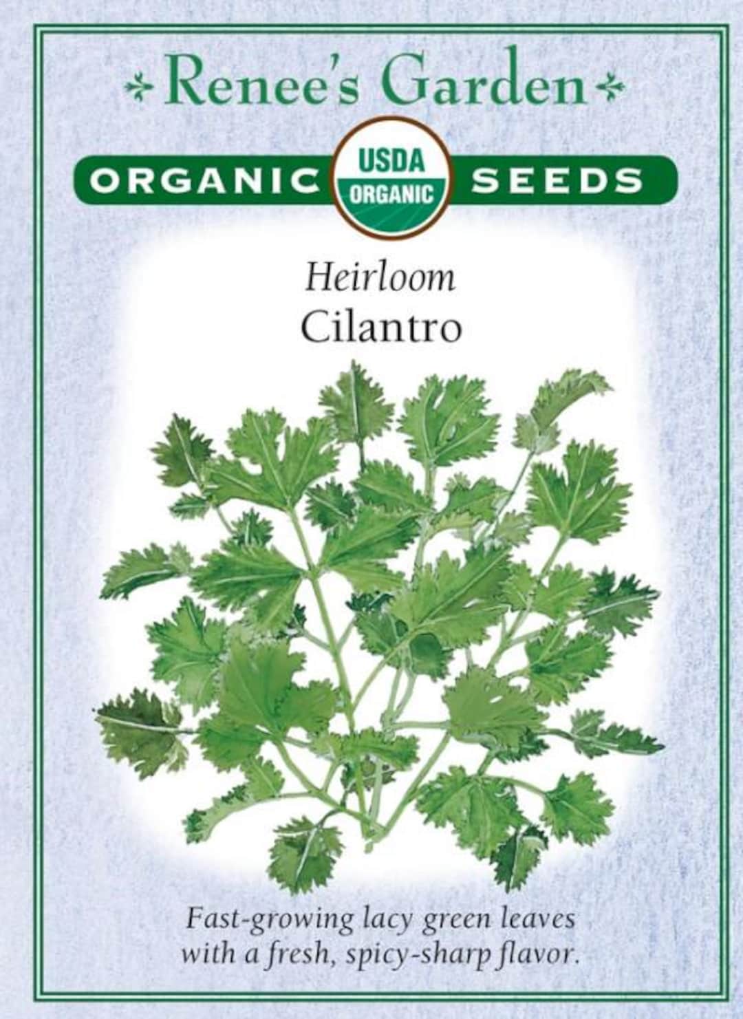 Heirloom Cilantro - Seed Packet - Etsy